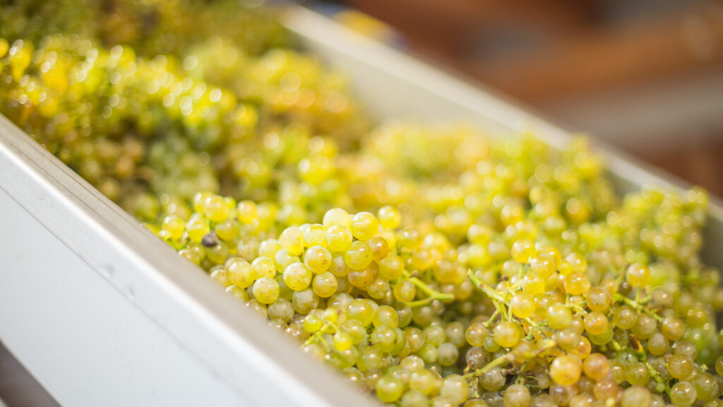 Weingut Falkenstein: Euer Weingut in Naturns - Vinschgau